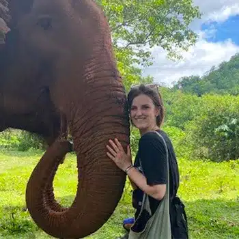 Meet the Team – Ellie Jacobs, Corporate Finance Executive - Translink CF